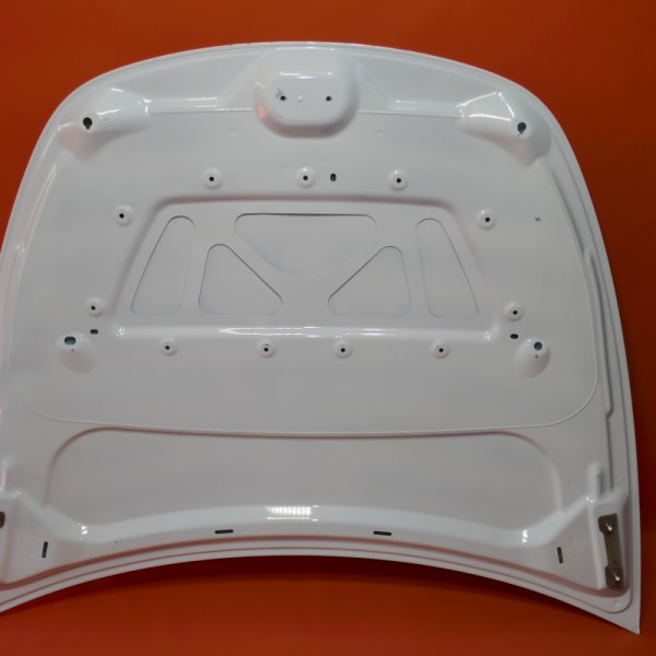 TESLA MODEL Y HOOD 2020 2021 OEM